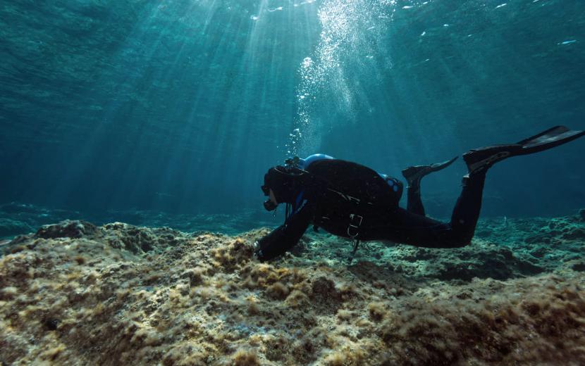 Diving Packages and Prices | Seashell Dive Centre